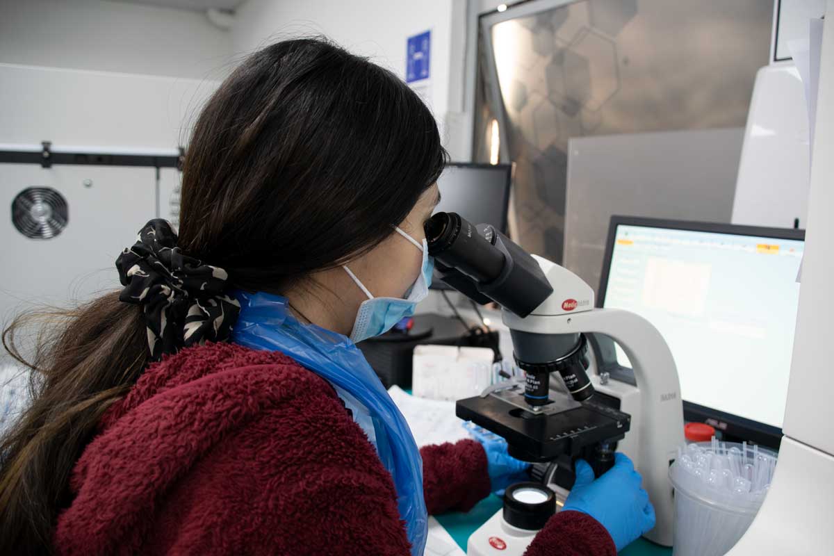 Toma de Muestra Móvil, Unidad de Biología Molecular - PCR